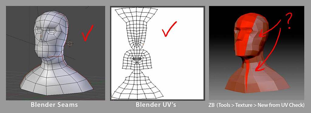 Blender to Zbrush (UV Check Problem) - ZBrushCentral