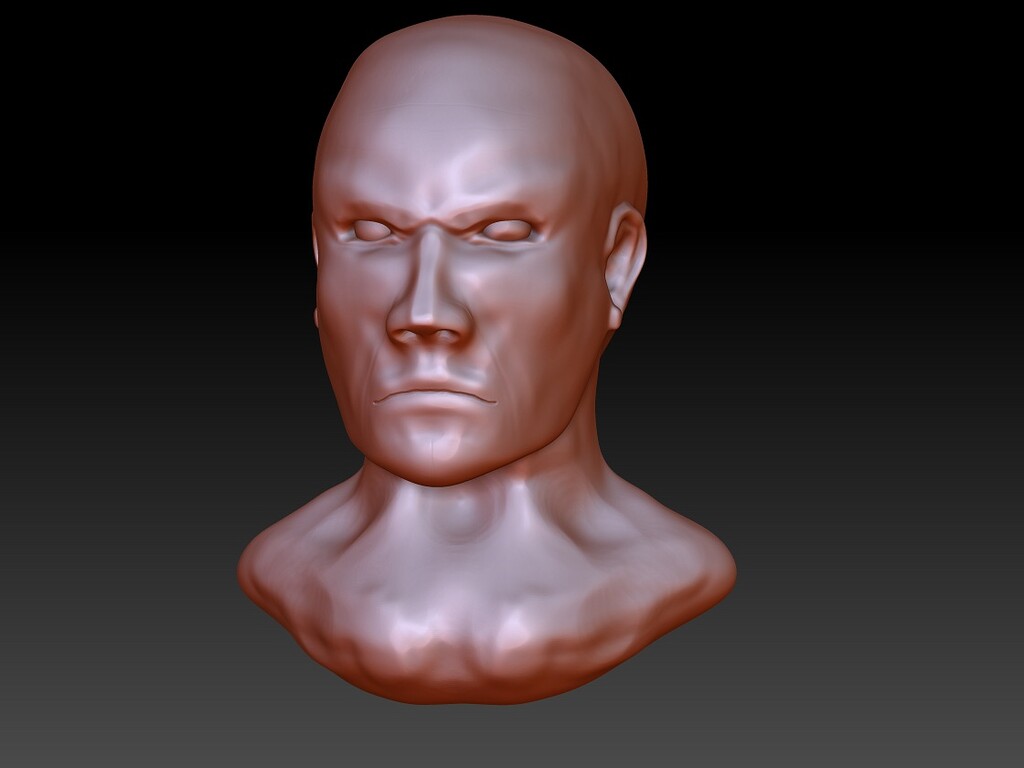 Anatomy Head practice - ZBrushCentral