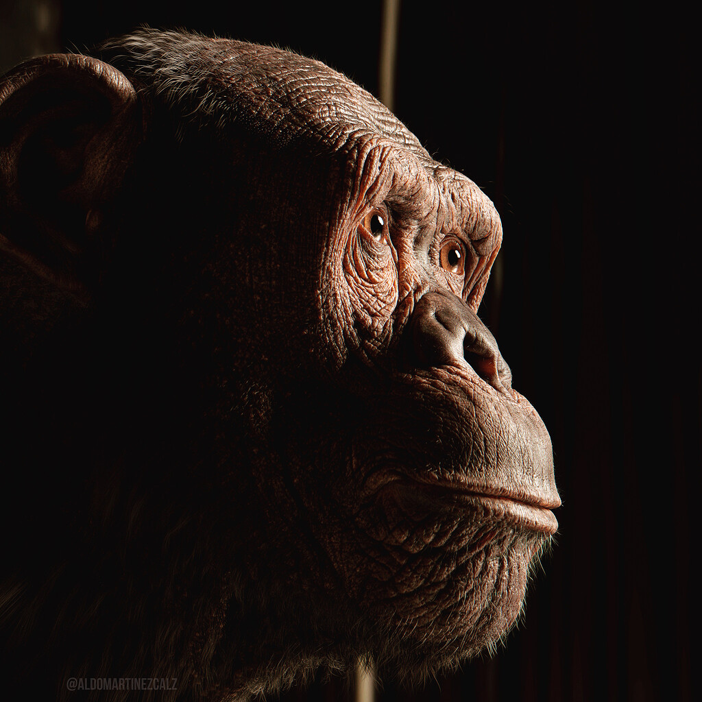 Chimpanzee Render - ZBrushCentral