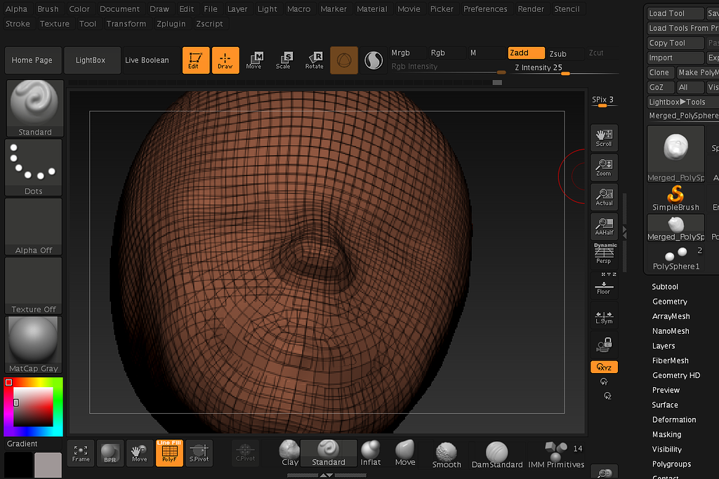 Inconsistent mesh after playing around with DynaMesh, Decimation Master & other tools ...