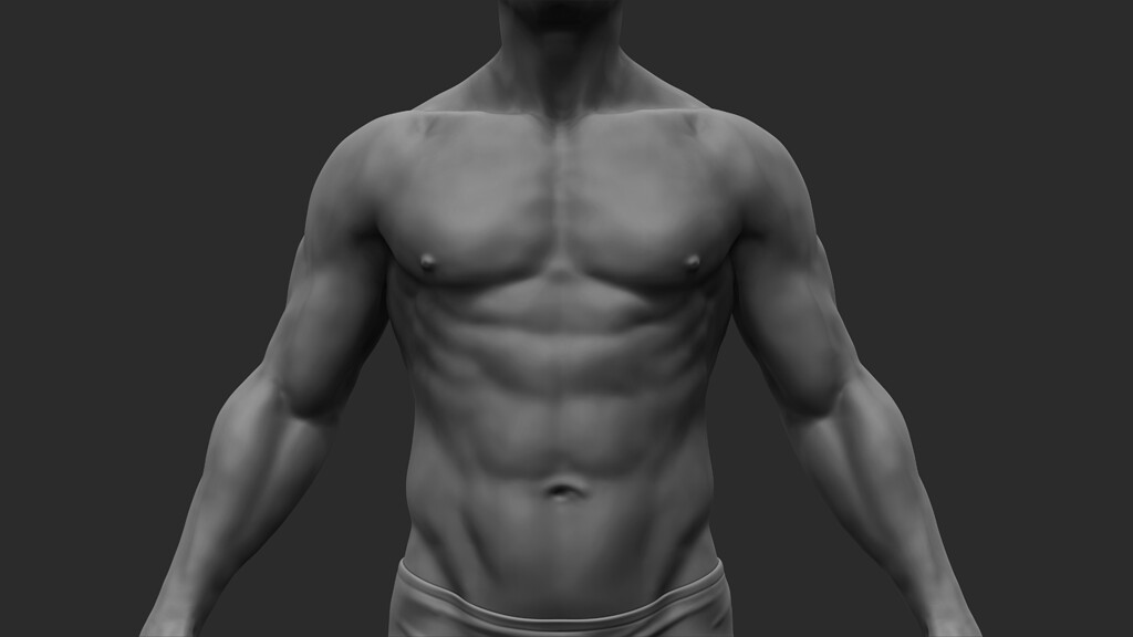 Making Human Body In Zbrush at James Ivery blog