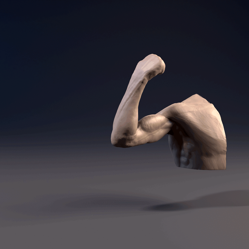 Arm Sculpt study Scott Eaton Digital Figure Sculpture Course ... Arm Sculpt study Scott Eaton Digital Figure Sculpture Course ...