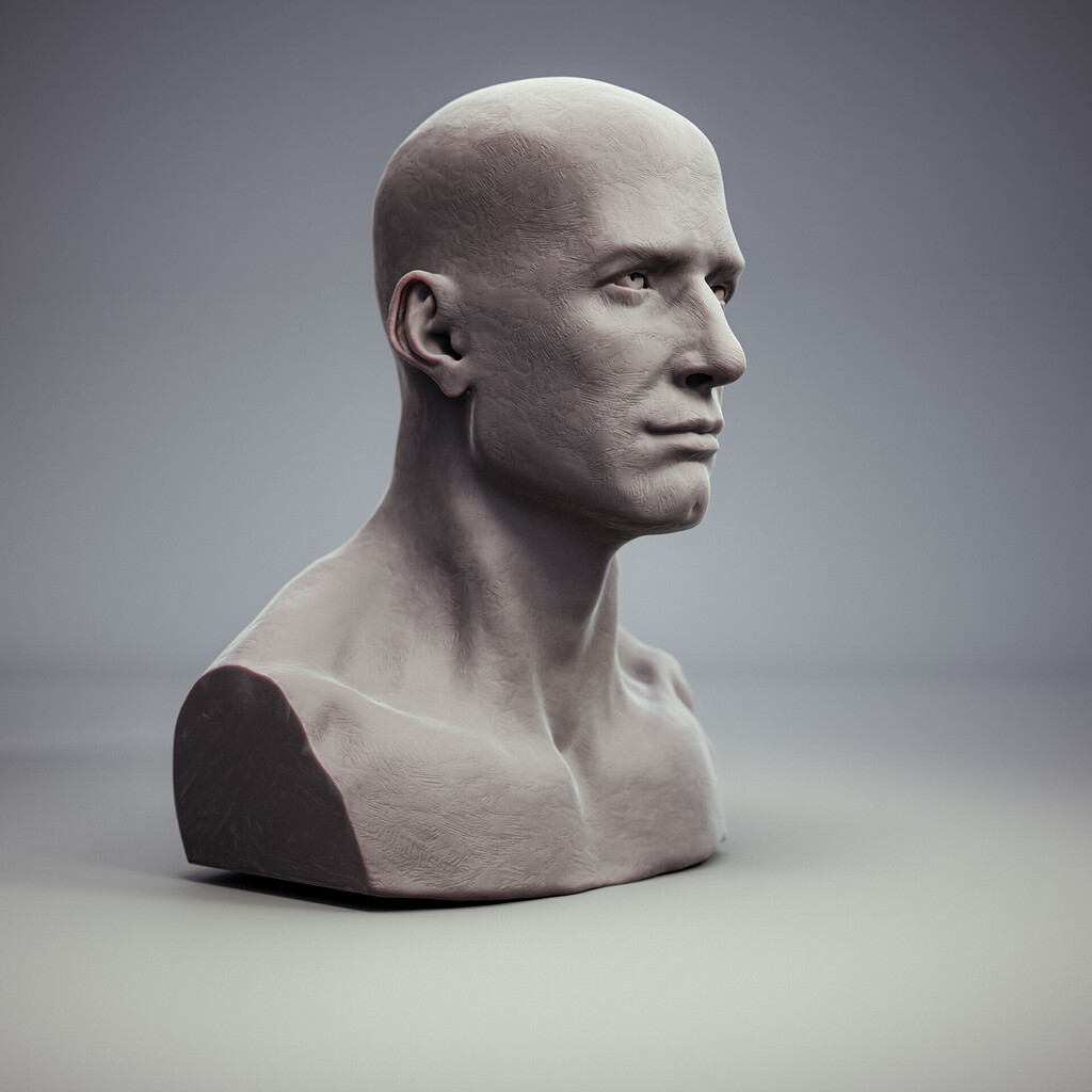 Bust Man Sculpt Study - ZBrushCentral