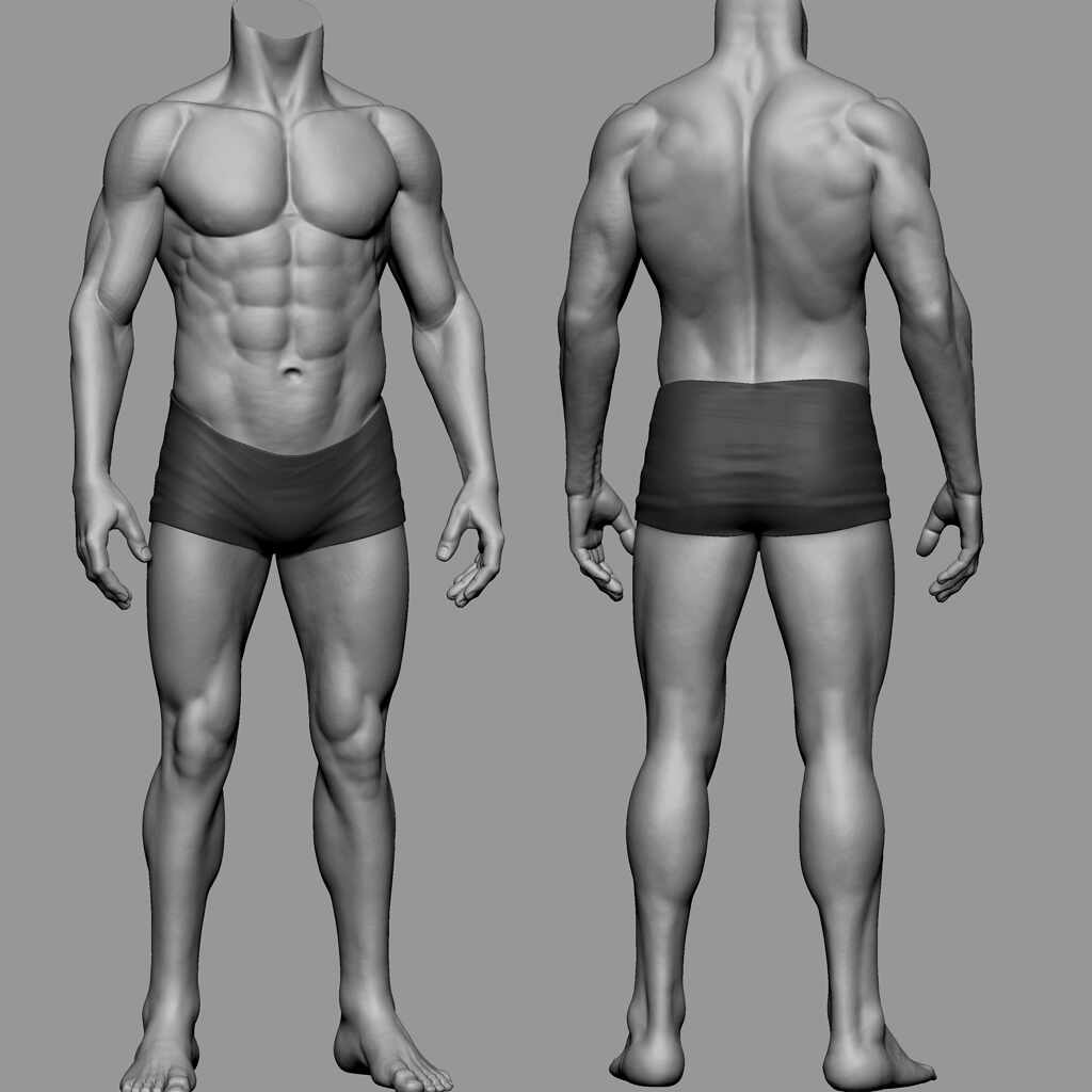 Anatomy Practice - ZBrushCentral