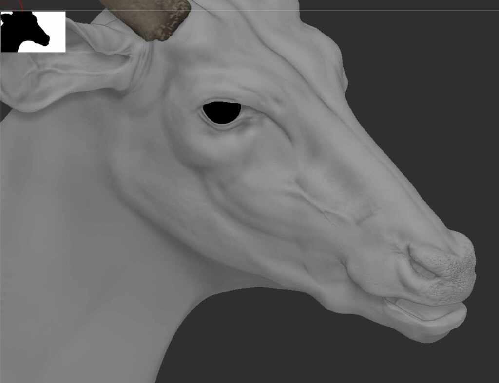 Proper workflow for an animated mouth? - ZBrushCentral