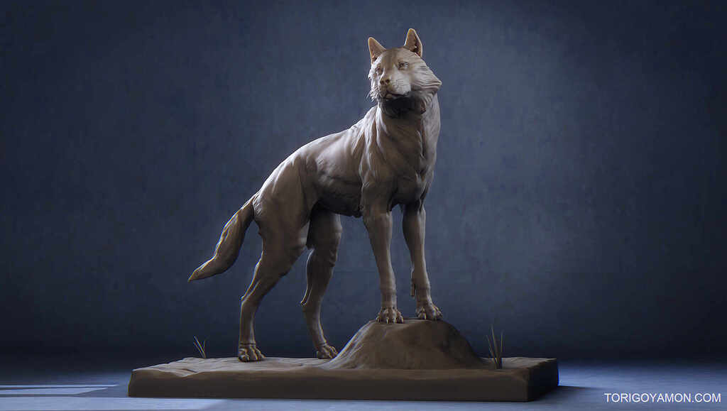 Wolf Study - ZBrushCentral