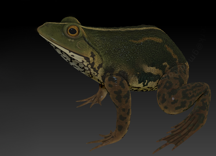 Problems With Normal Map - ZBrushCentral