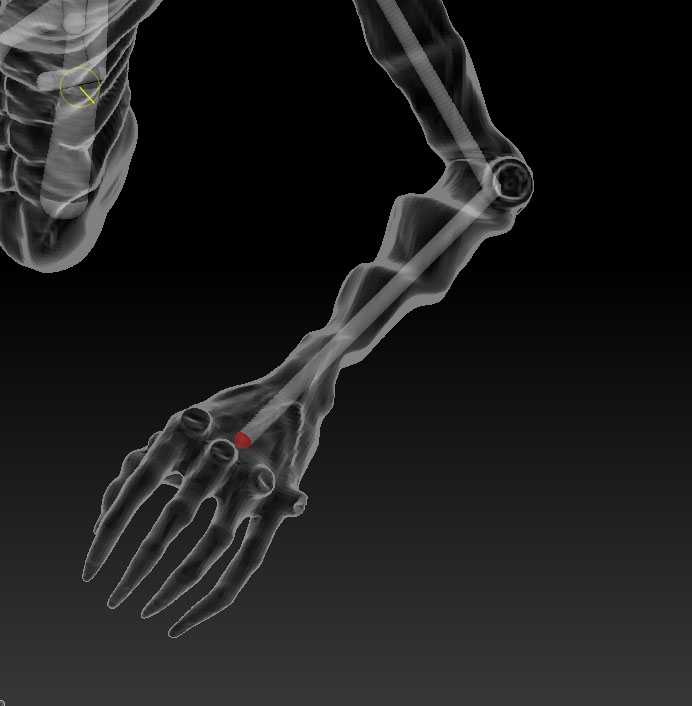 Zsphere rig deformation - #2 by beta_channel - ZBrushCentral