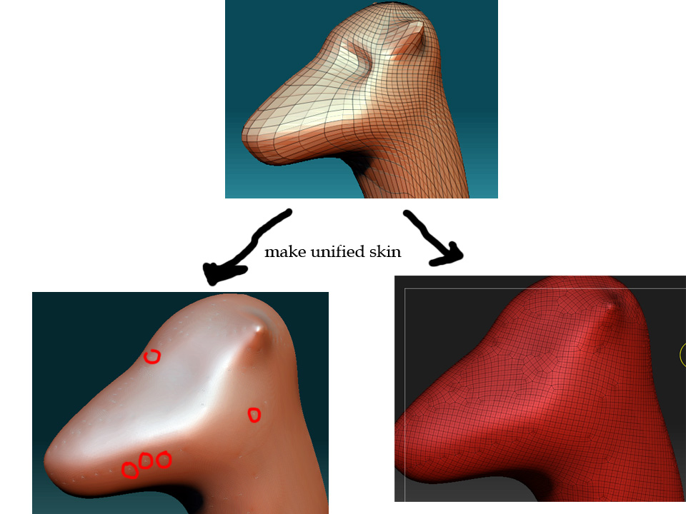 unified skin problem.... - ZBrushCentral