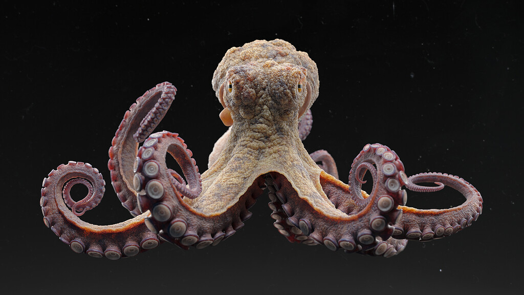 Octo - Personal Project - ZBrushCentral