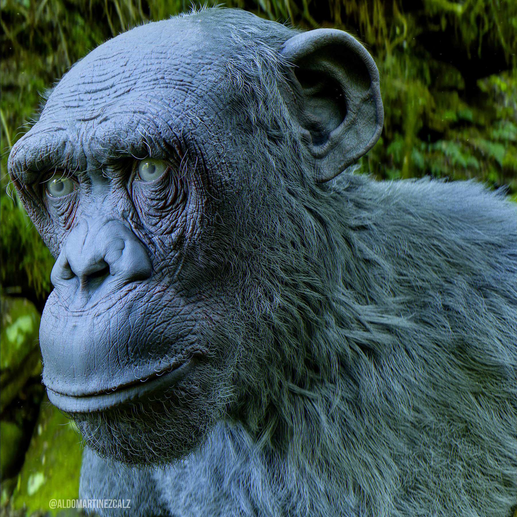 Chimpanzee Render - ZBrushCentral