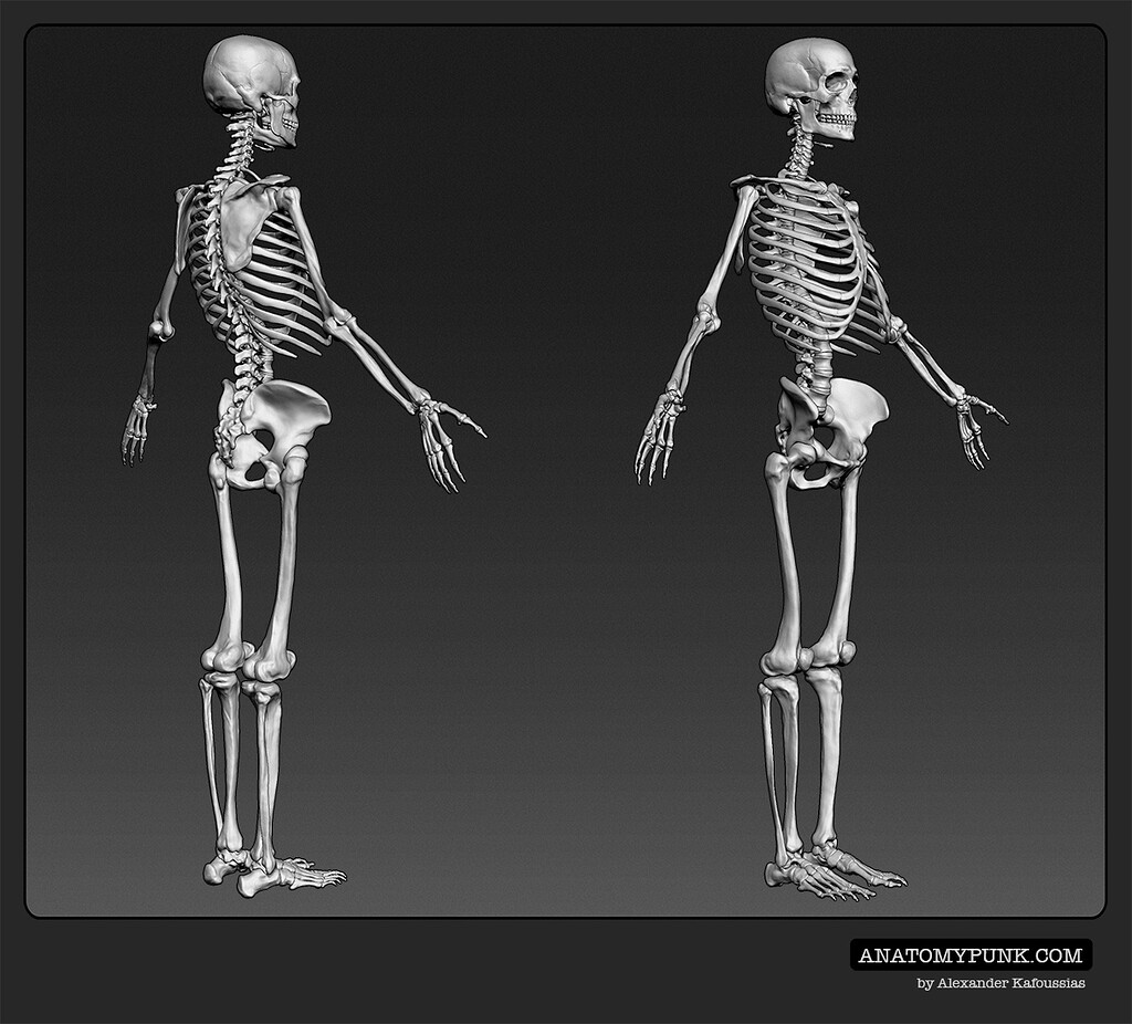 Anatomypunk - ZBrushCentral