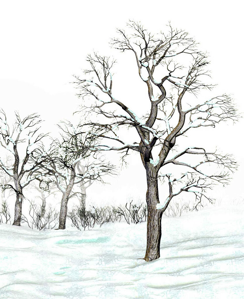 Tree - ZBrushCentral