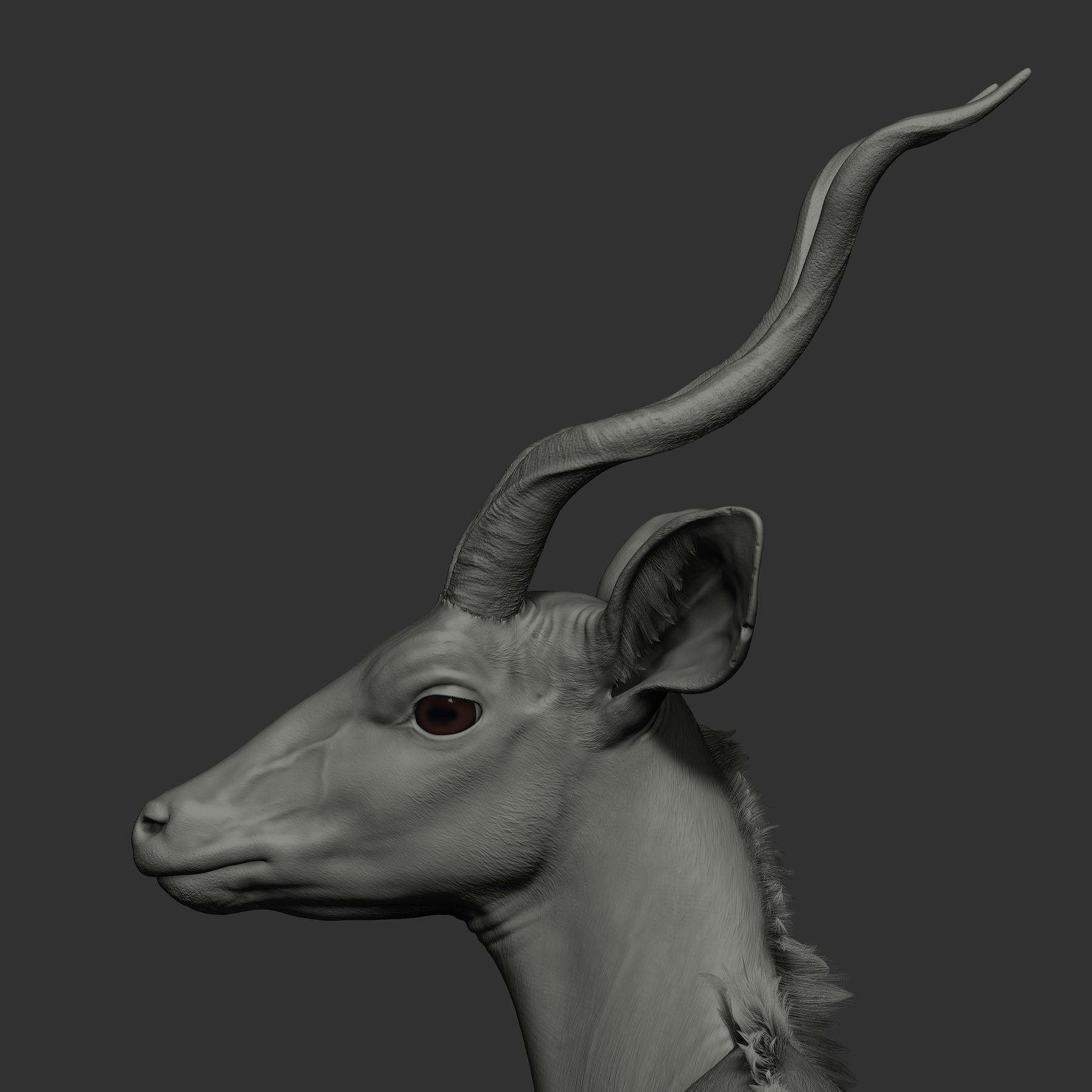 Lesser Kudu : - ZBrushCentral
