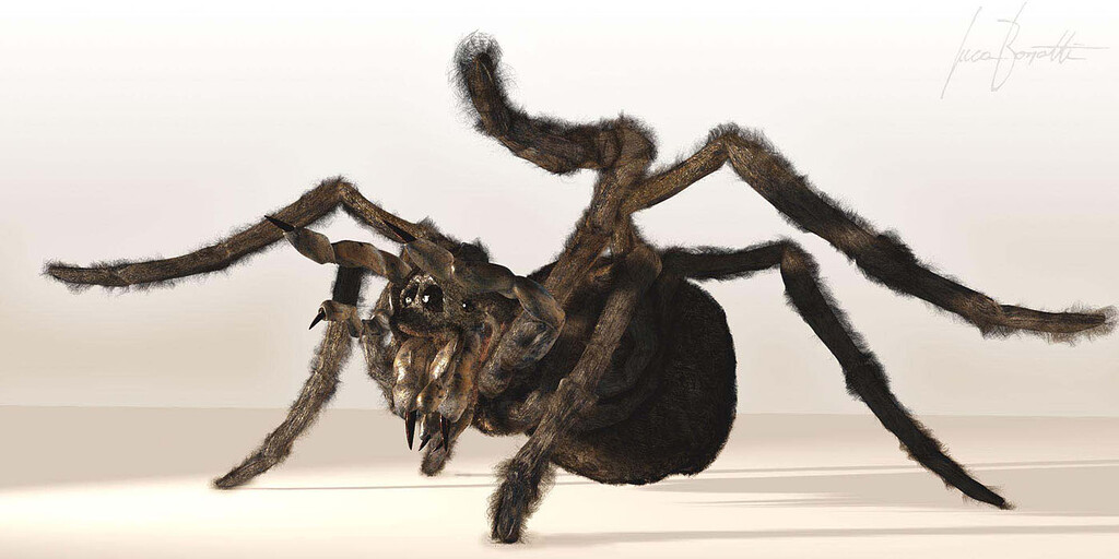 Spider - ZBrushCentral