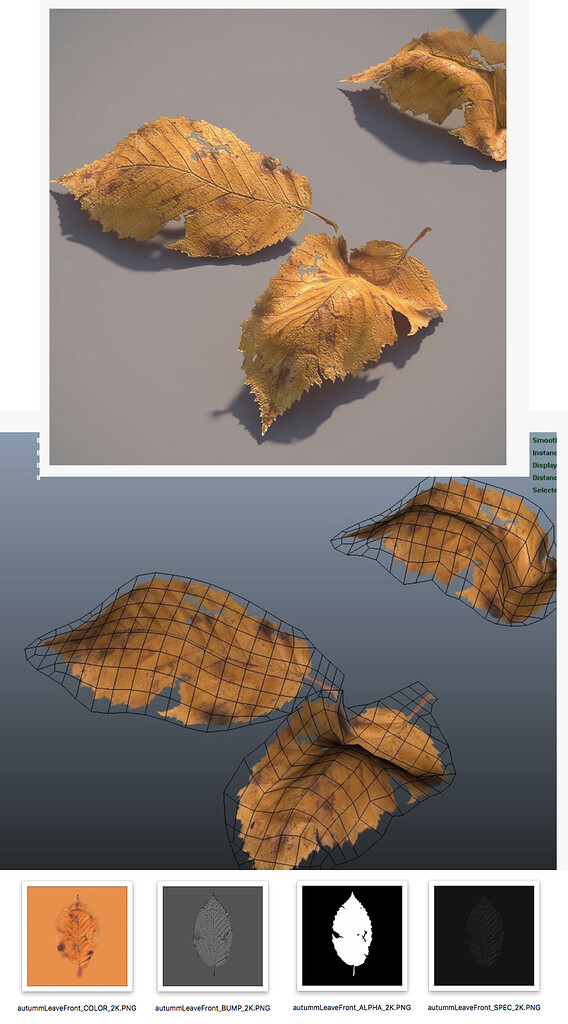 Can you create a low poly realistic leaf in Zbrush? - ZBrushCentral
