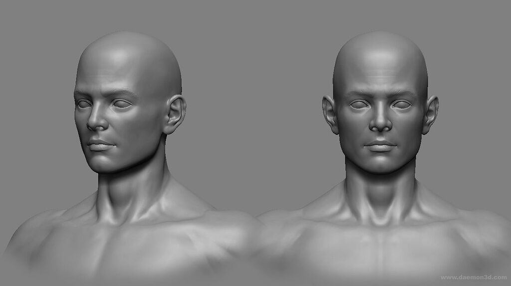 Generic Male, Female, Dif. Races, anatomy study.(Nudity!) - ZBrushCentral