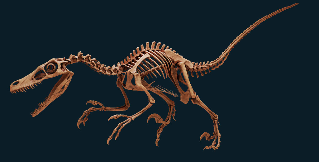 Raptor Skeleton - ZBrushCentral