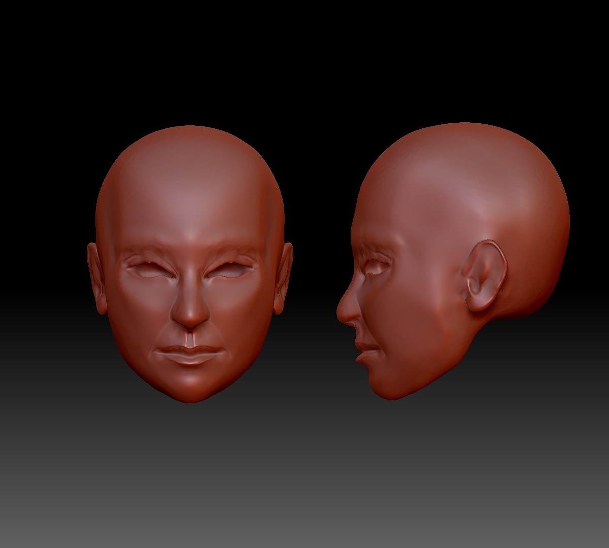 head study. - ZBrushCentral