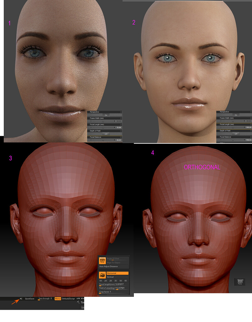 Perspective and "auto crop mode" AC - ZBrushCentral