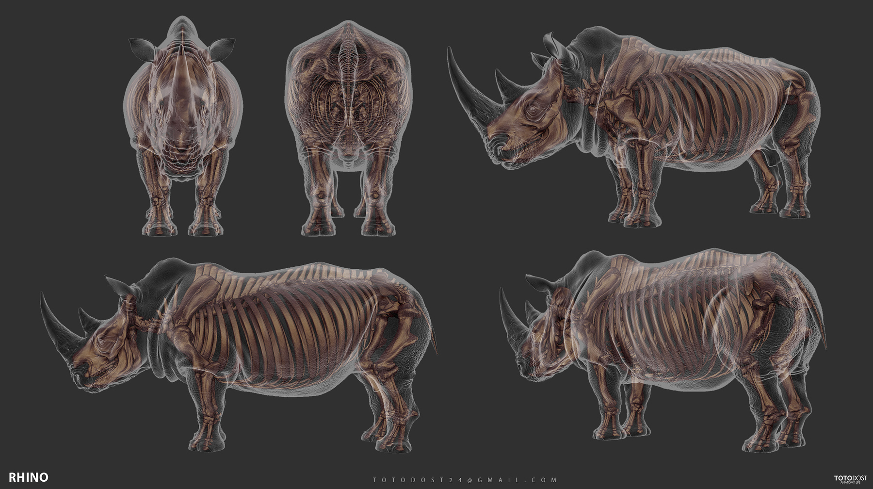 RHINO - ZBrushCentral