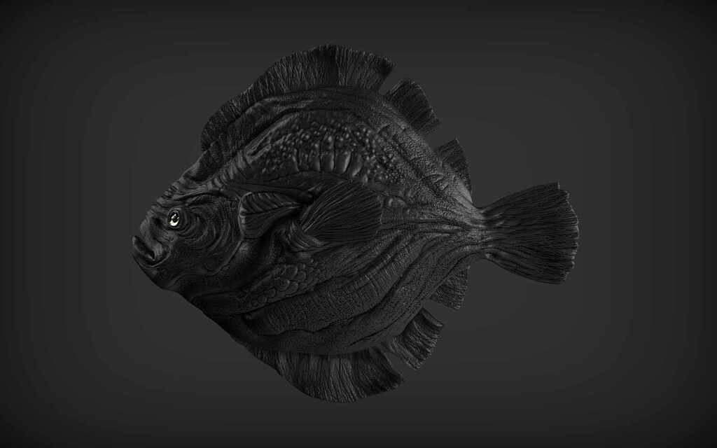 Fish creature in Zbrush - ZBrushCentral