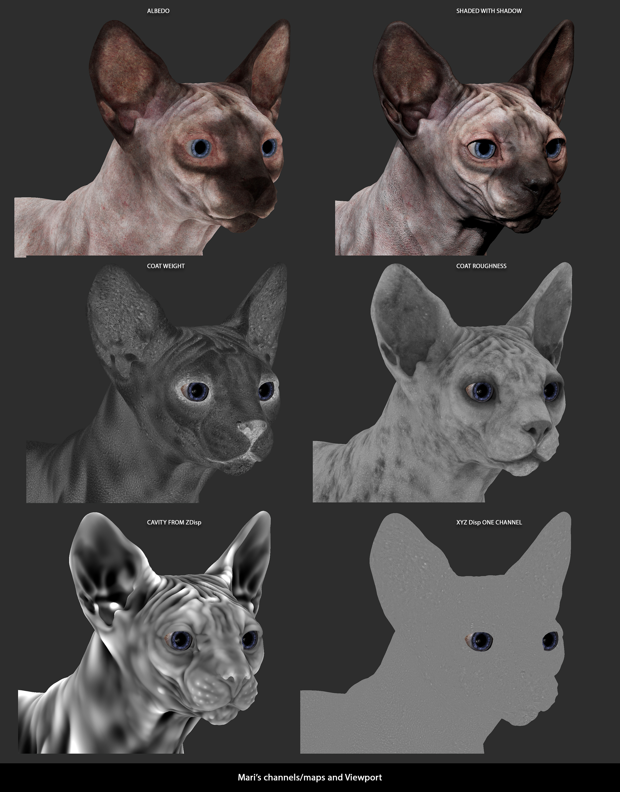 Once Upon a Sphynx - ZBrushCentral