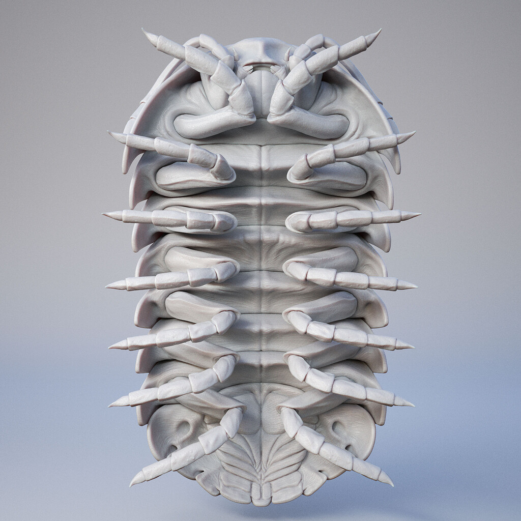 Rocky the Roly Poly - ZBrushCentral