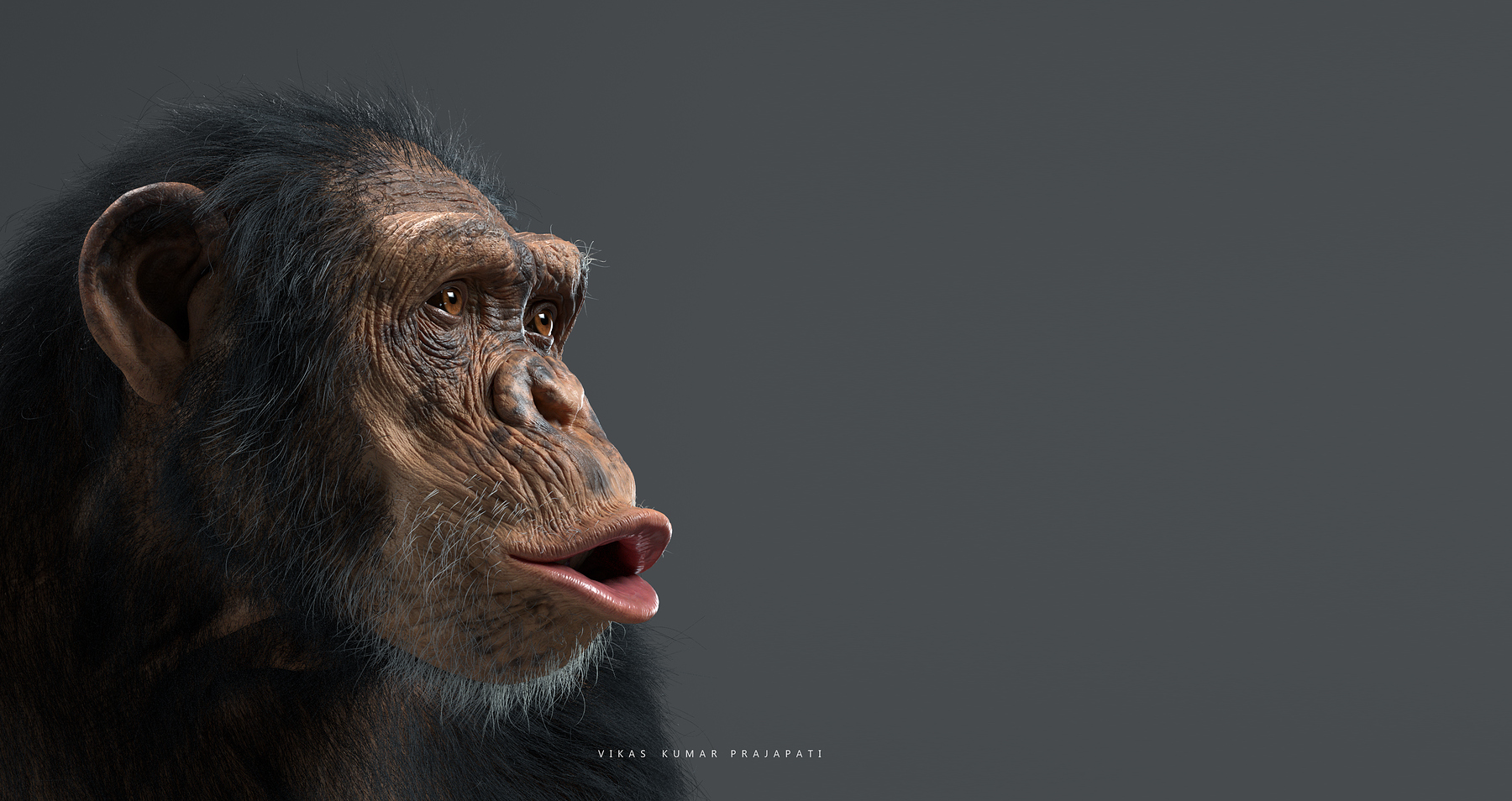 Chimp "Patrick" - ZBrushCentral