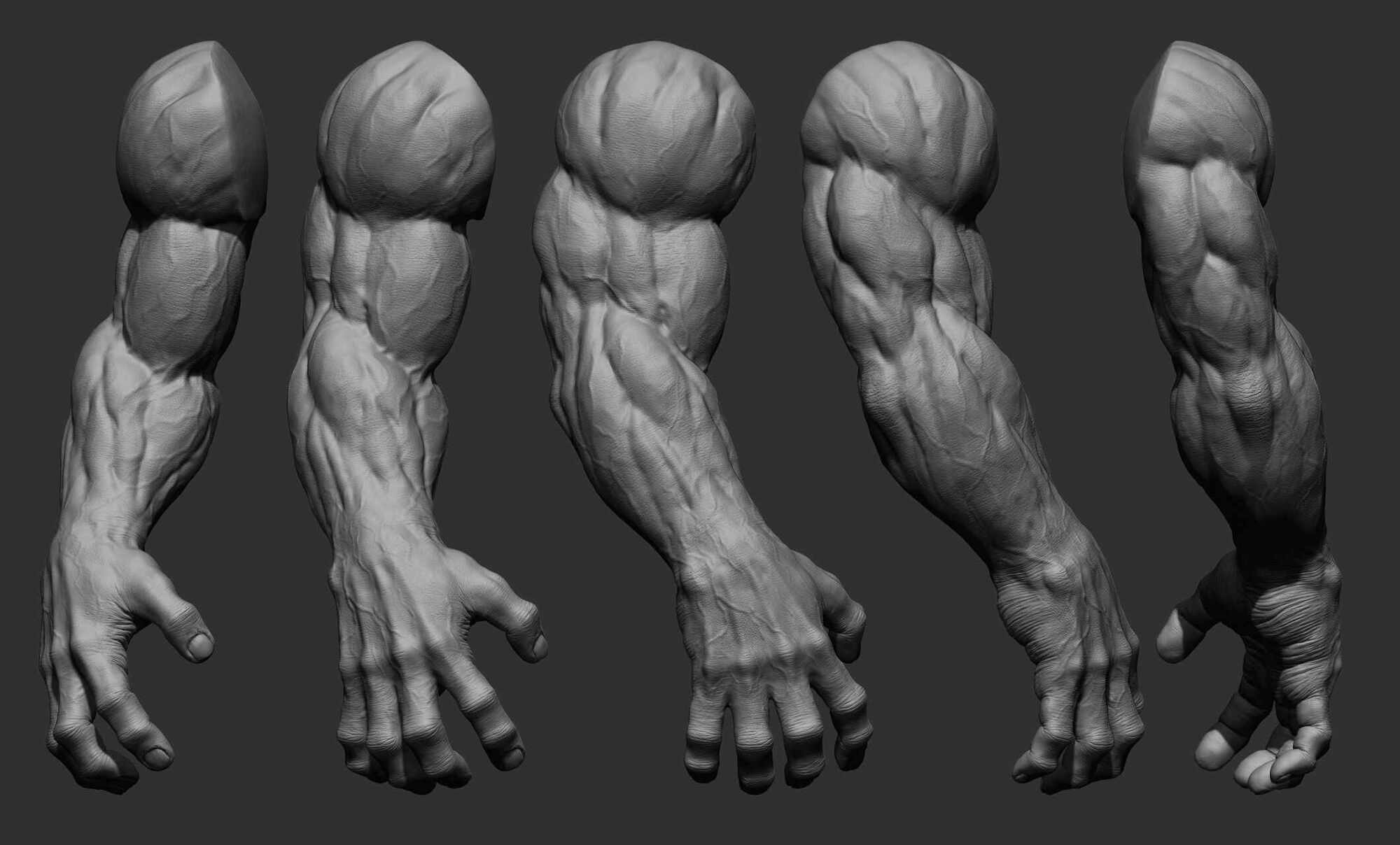 25 Creature arms - ZBrushCentral