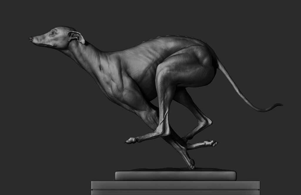 Sculpt Doggy Dog - Greyhound - ZBrushCentral