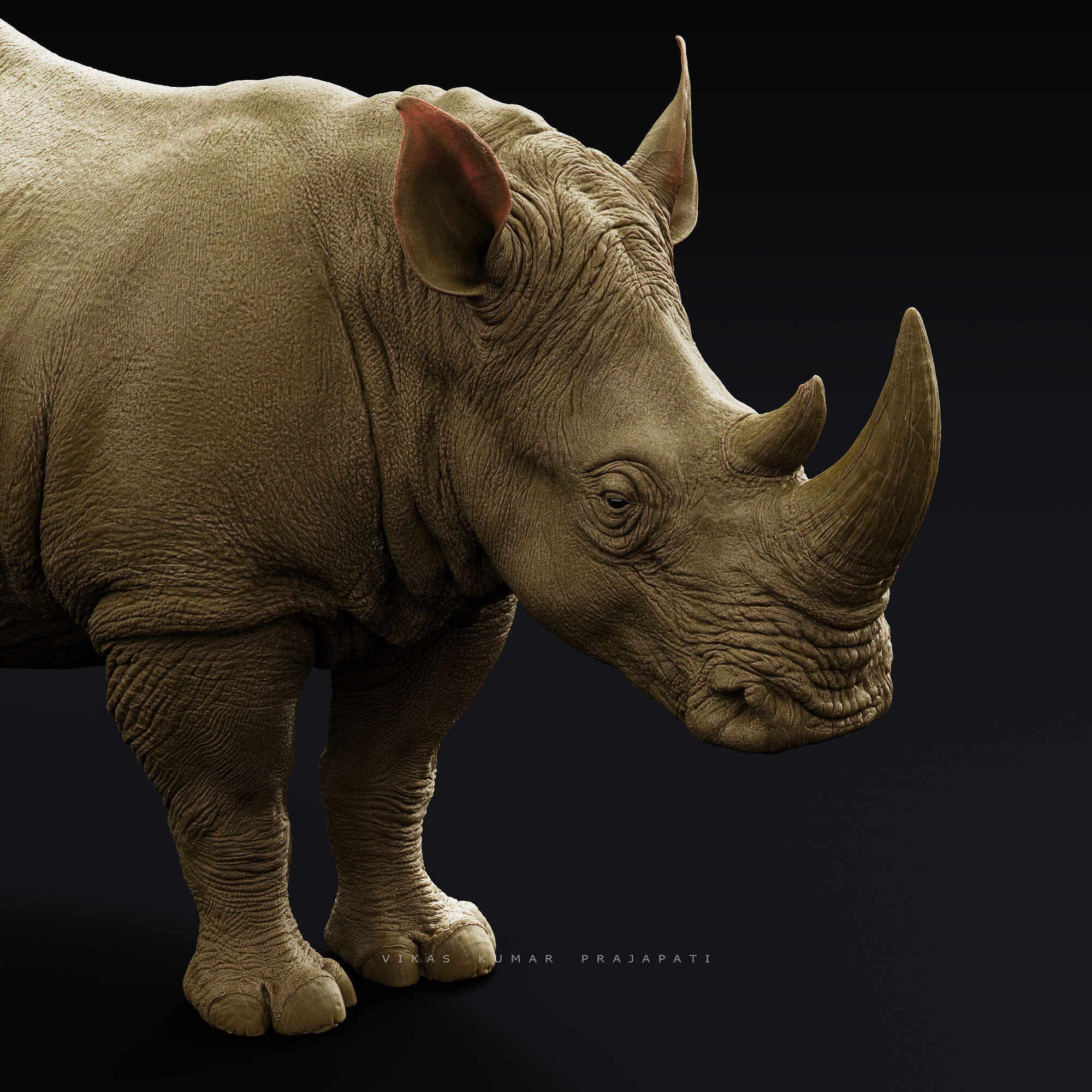 Once Upon A Time,Rhino - ZBrushCentral