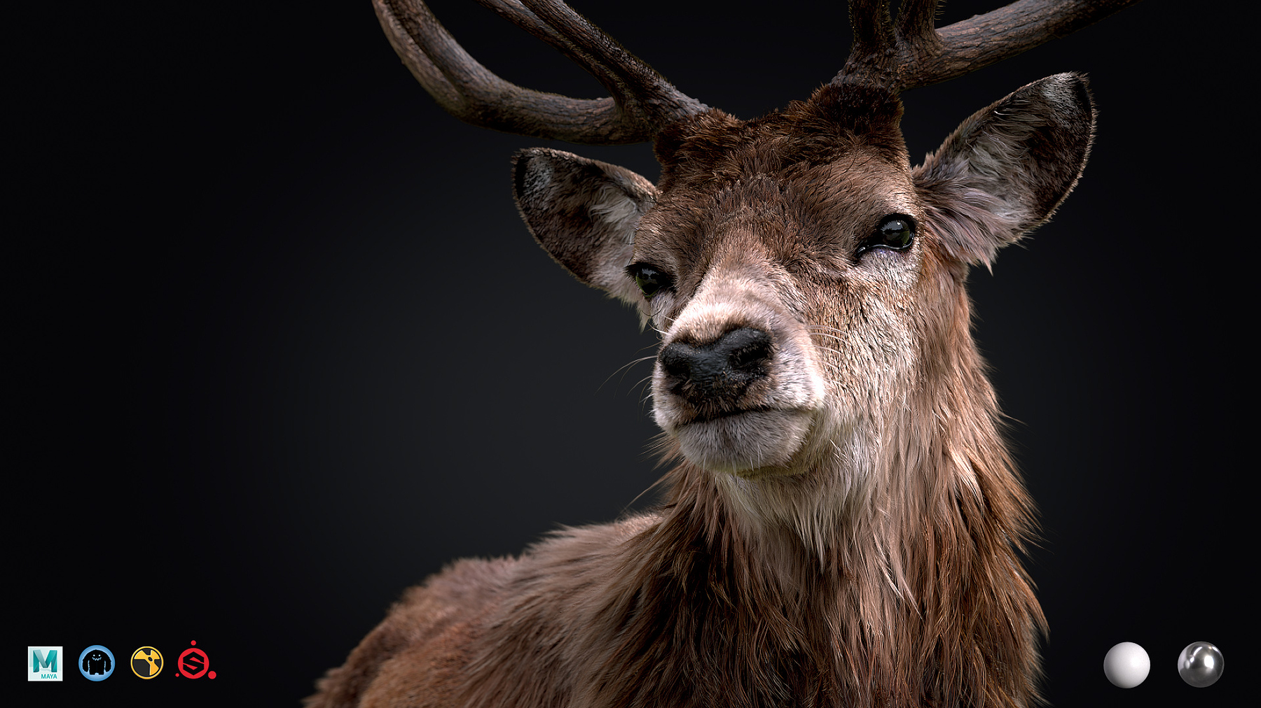 Red stag Project - ZBrushCentral