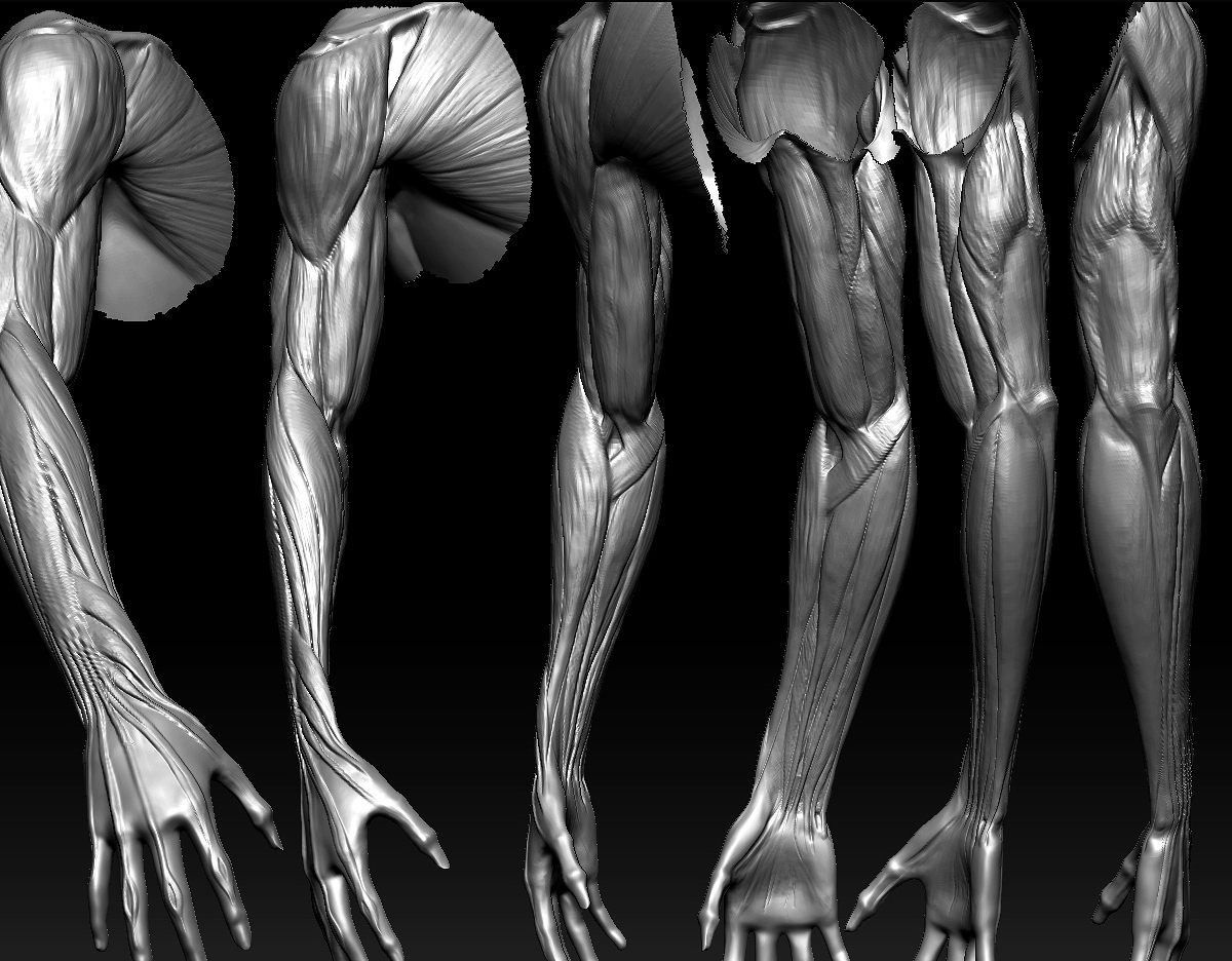 SID's WIP's/Sketchbook - ZBrushCentral