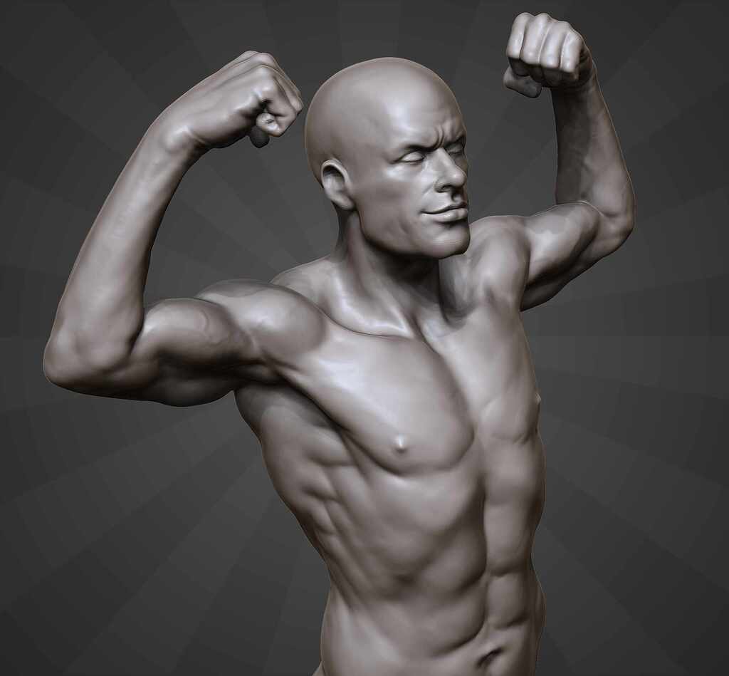 Flexing - Anatomy Practice - #3 by binusianwolf - ZBrushCentral