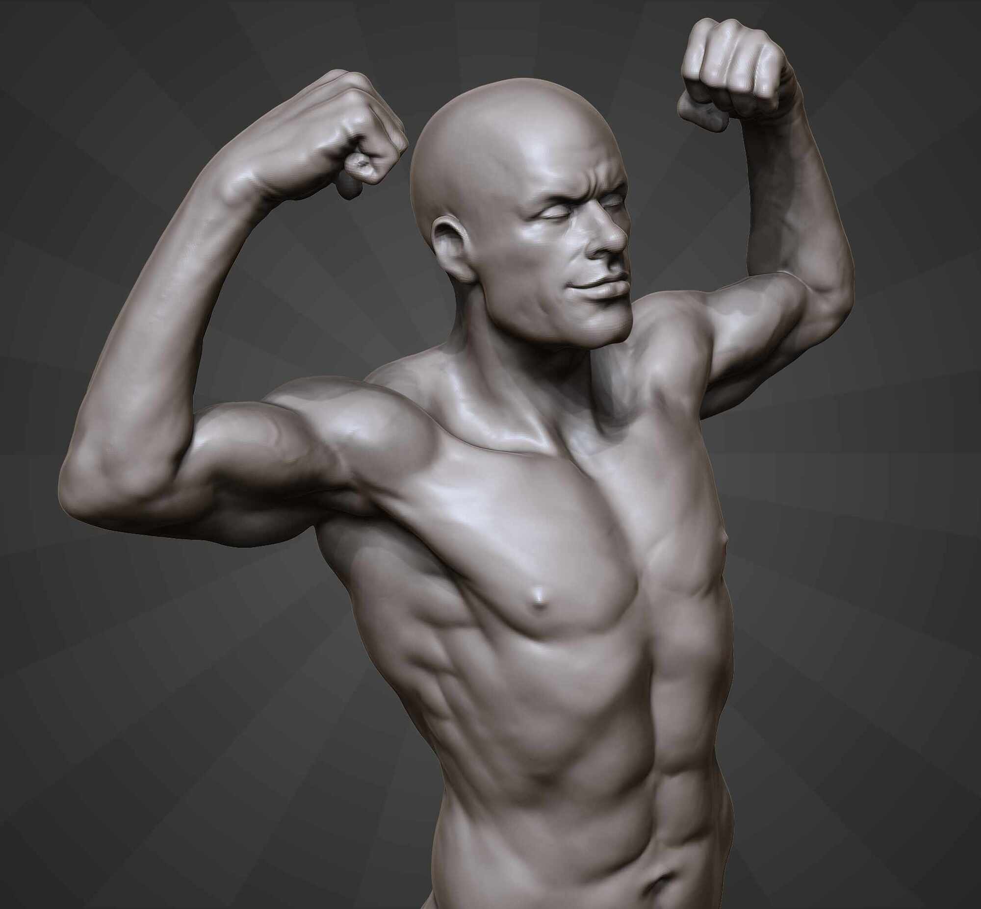 Flexing - Anatomy Practice - ZBrushCentral