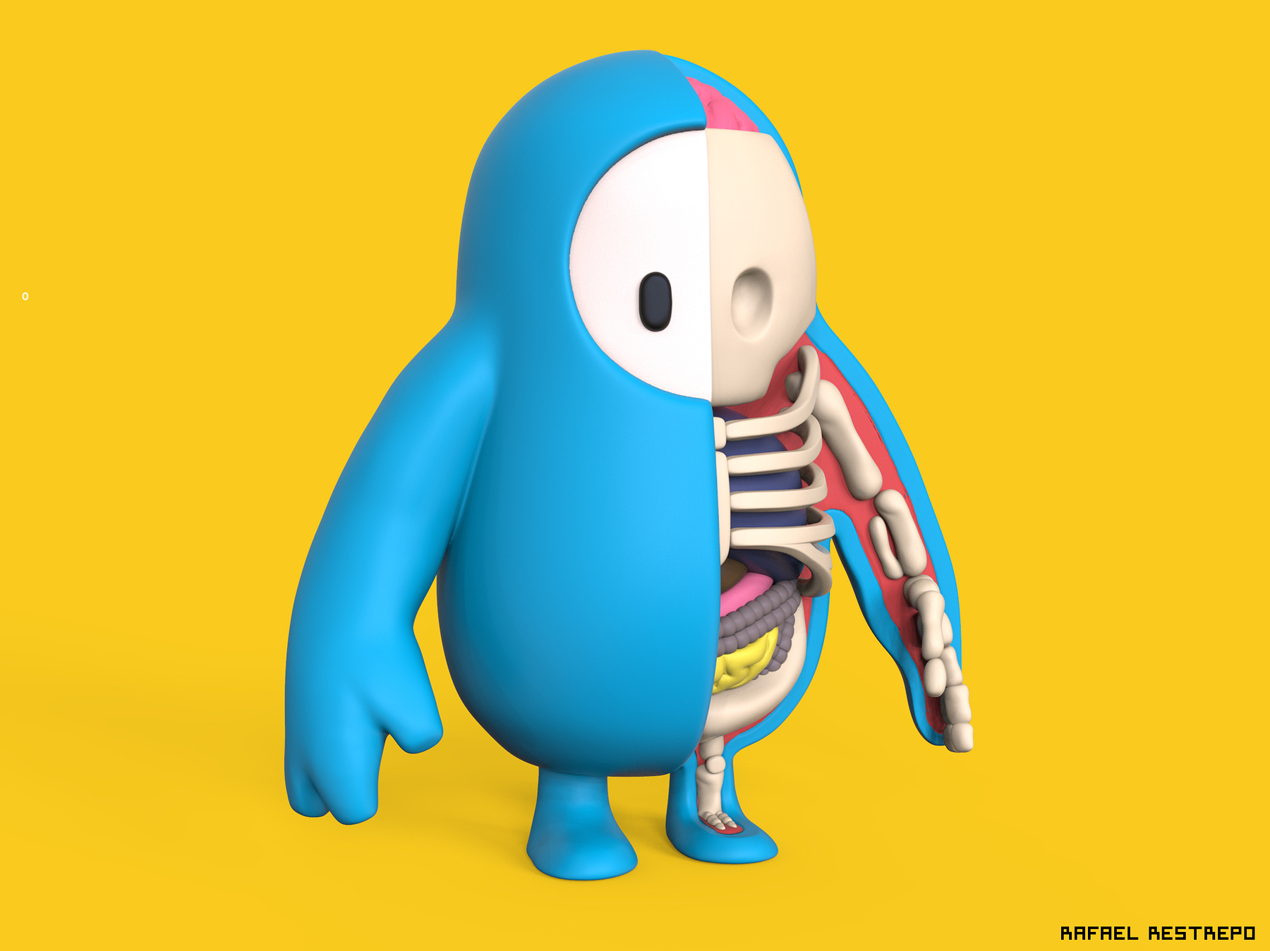 Fall Guys Anatomy - ZBrushCentral