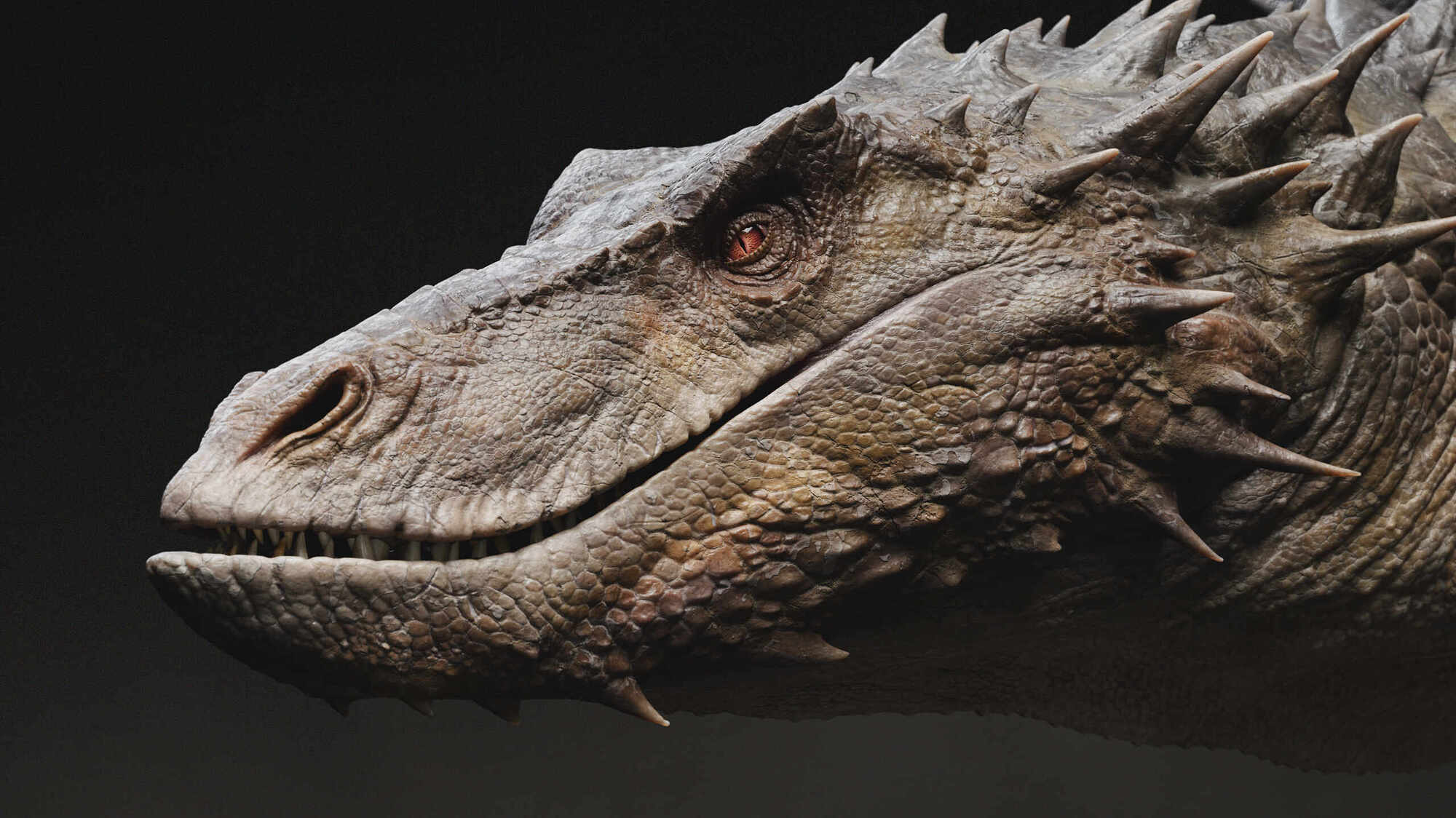 Dragon - ZBrushCentral