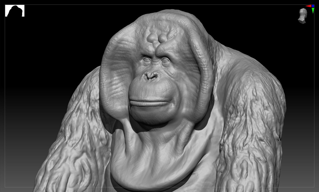 Animal Anatomy Practice - ZBrushCentral