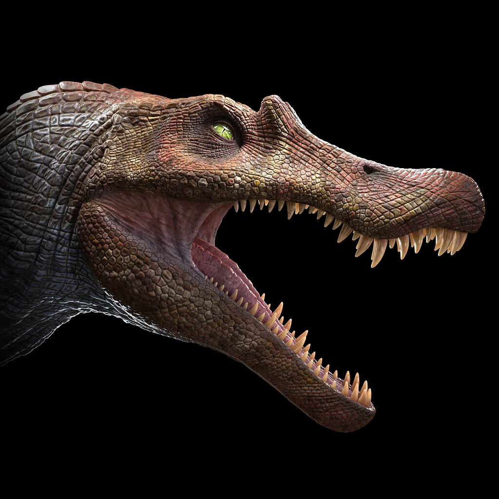Hi all, recently completed this Spinosaurus head - ZBrushCentral