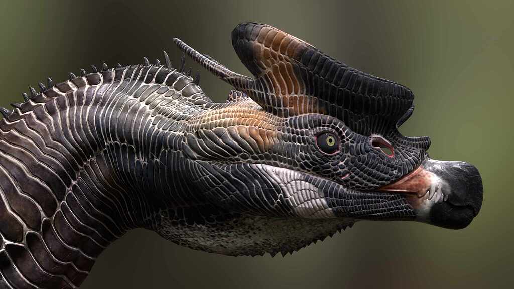 Ostrowski's Cliffdrake - ZBrushCentral