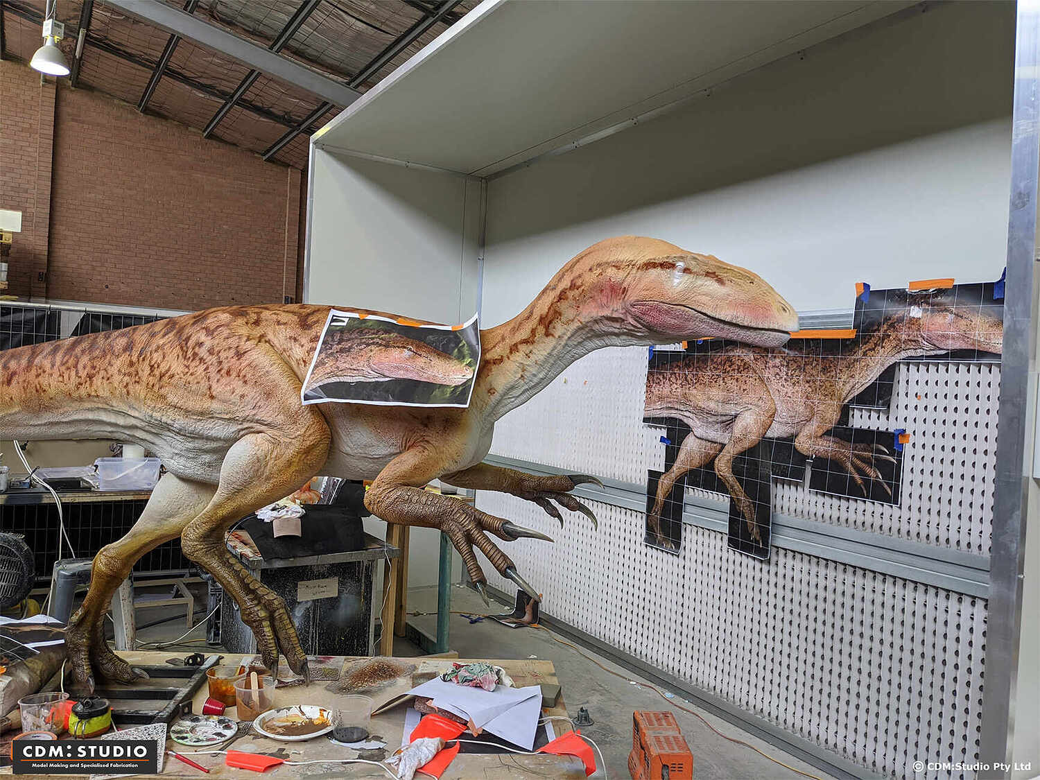 LIFE-SIZE Dinosaurs, Megalodon and other creatures for WA Museum Boola ...