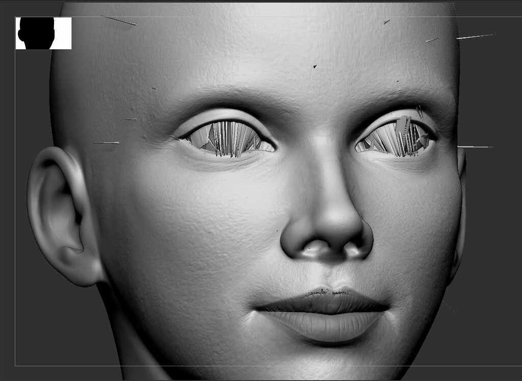 ProjectAll error - ZBrushCentral