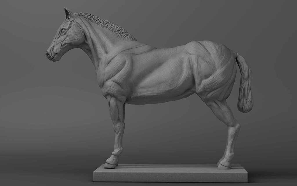 Horse study (écorché) - ZBrushCentral
