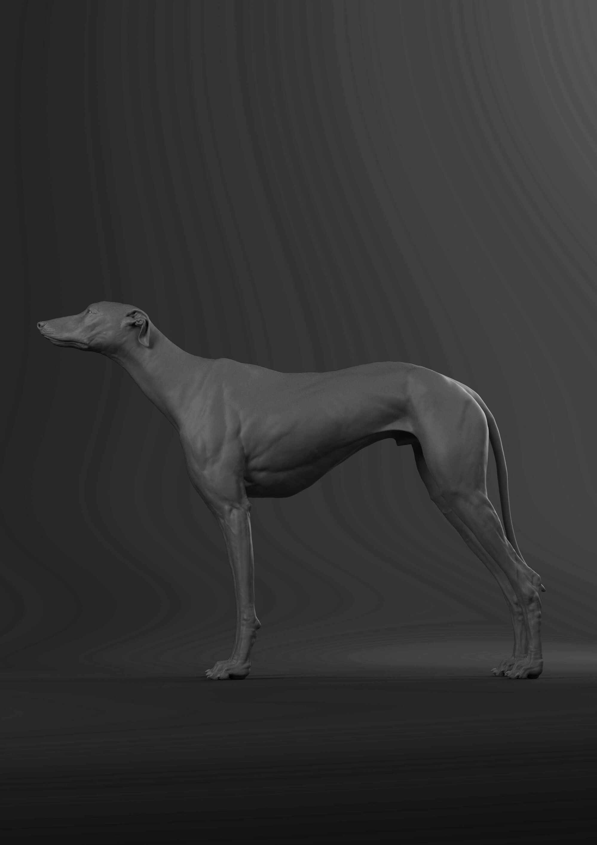 HounD - ZBrushCentral