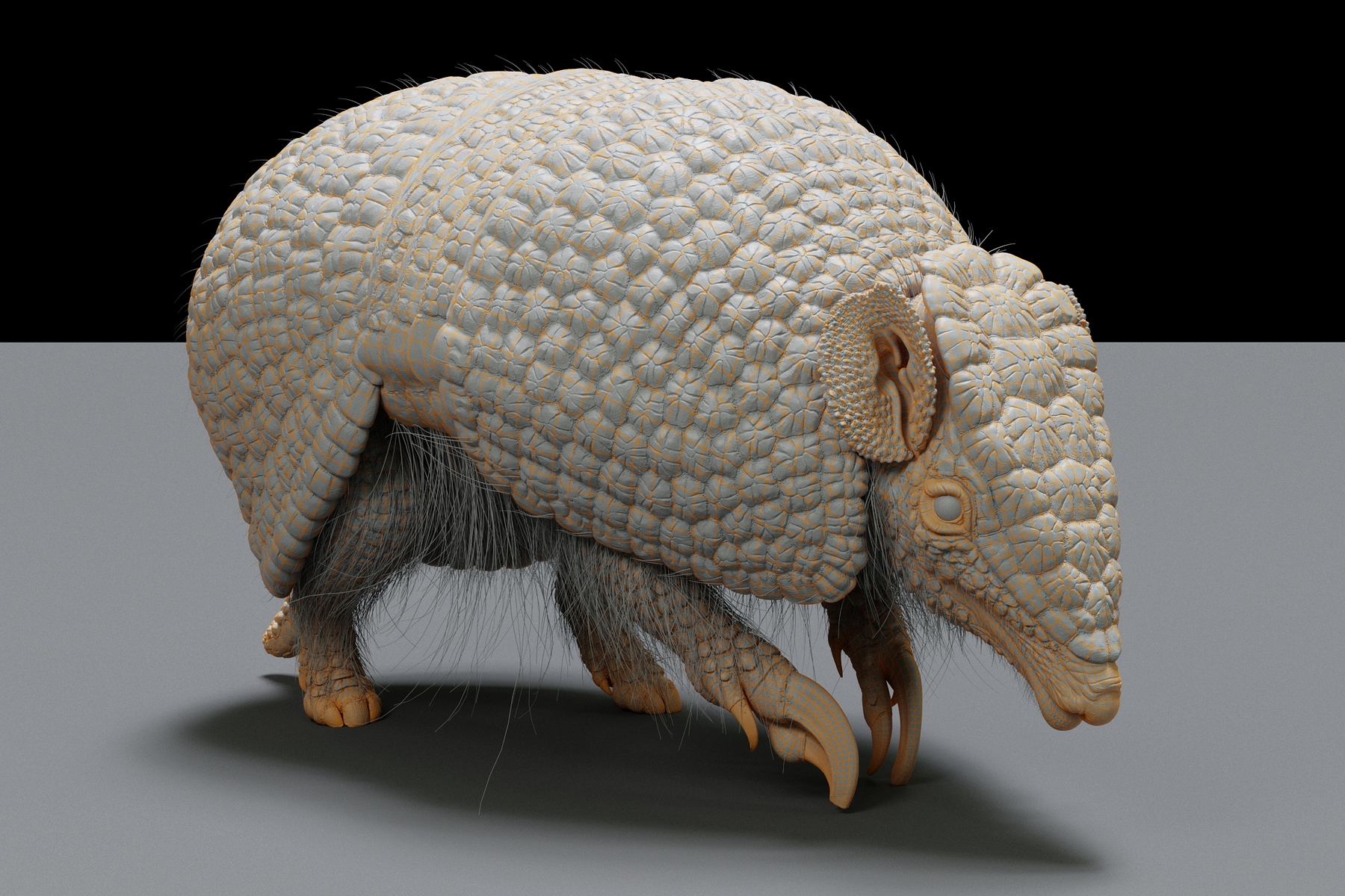 Brazilian Three-Banded Armadillo - ZBrushCentral