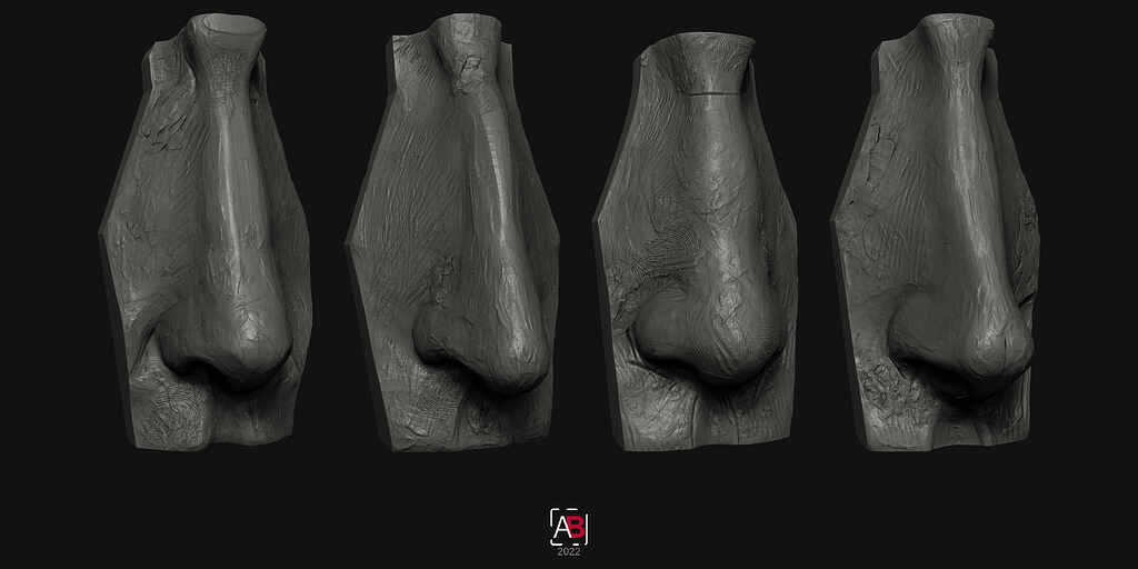 Nose Studies - ZBrushCentral
