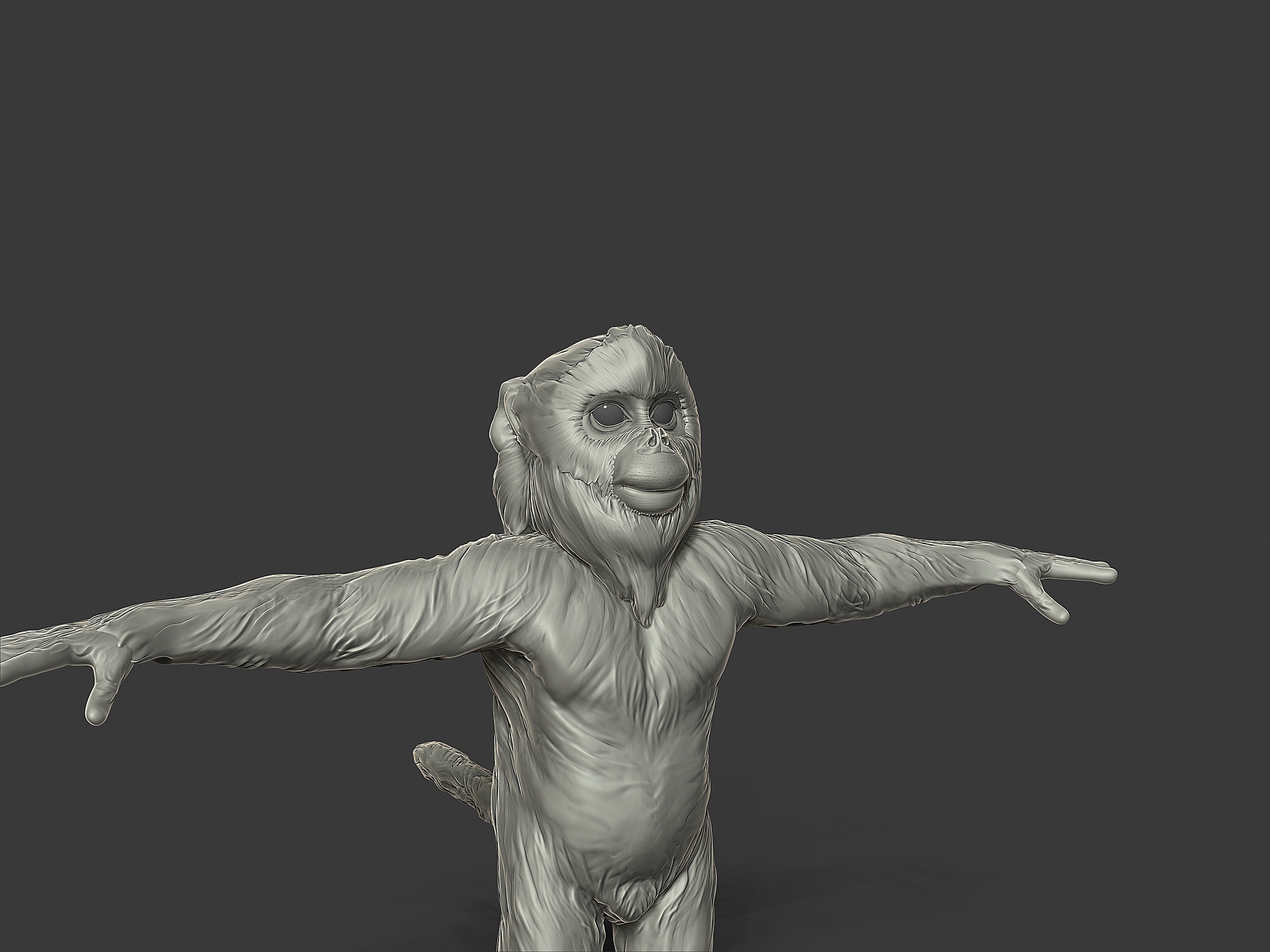 A Monkey sculpt - ZBrushCentral