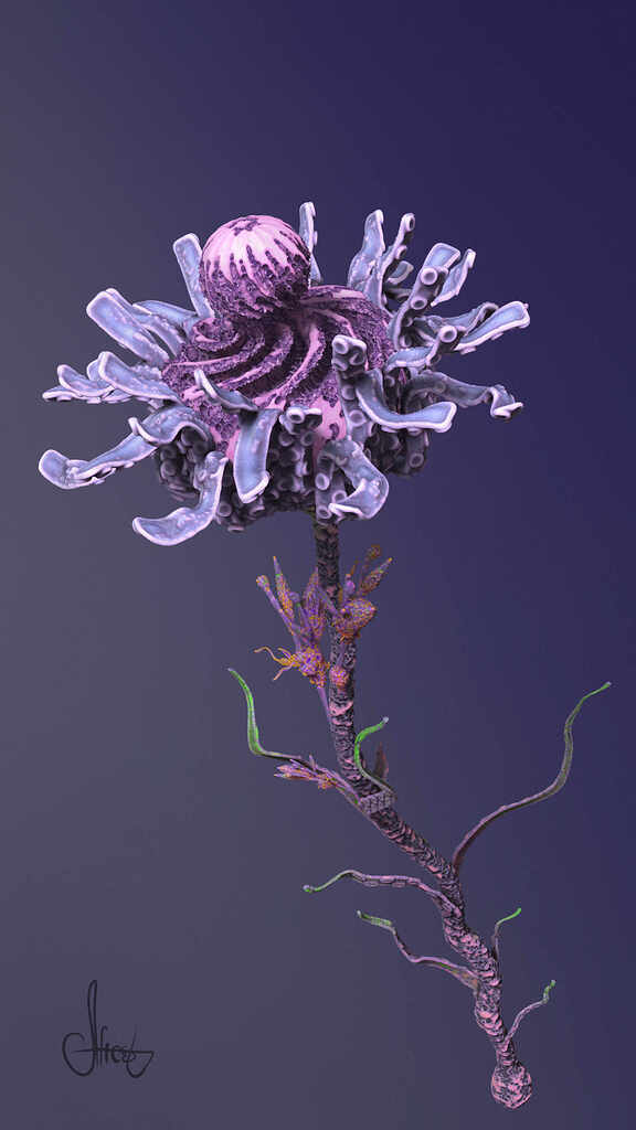 Octopus flower - ZBrushCentral