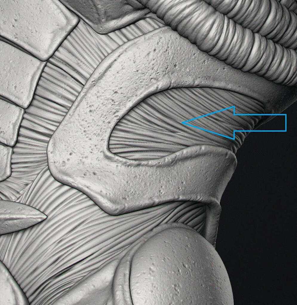 Can you please recommend how best to draw these lines? - ZBrushCentral
